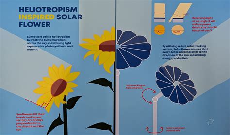 2025 Oliphant Science Awards Seymour College