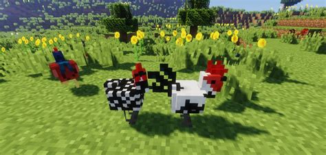 Better Chickens For Minecraft 12111
