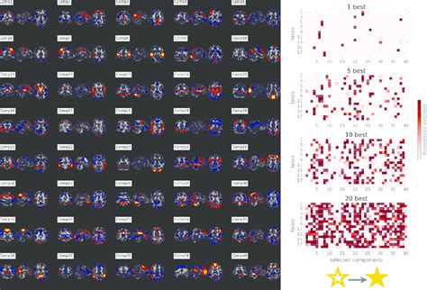 Network Co Occurrence Modeling Sparse Pca Network Decomposition Of Download Scientific Diagram