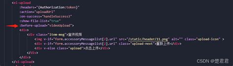 Vueelement Ui文件上传（格式校验）show File Listfalse Csdn博客