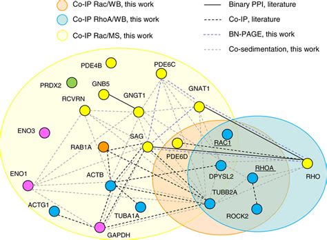Graphical Representation Of Experiments Performed In This Work And Its Download Scientific
