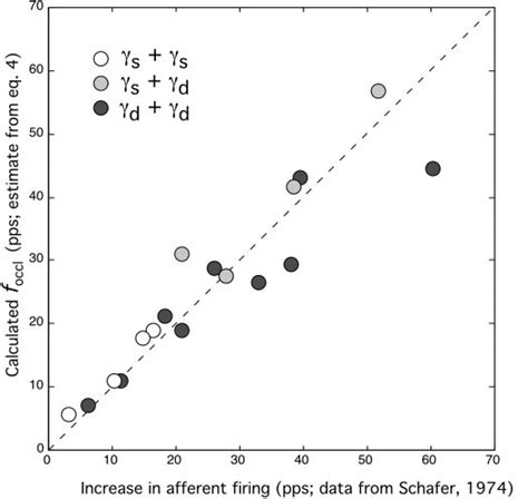 Comparison Of Observed Vs Simulated Afferent Firing Rates During