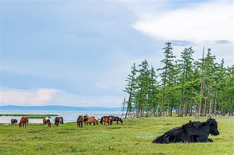 National Parks Of Mongolia