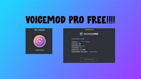 Voicemod license key - surveysmaha