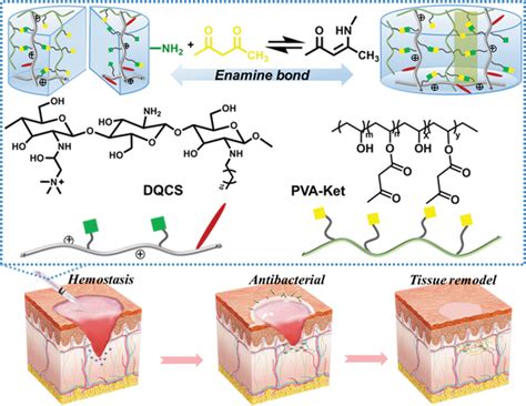 Schematic Illustration Of The Self‐healing Hydrogel Components And The Download Scientific