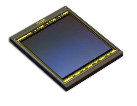 Ccd Image Sensor X Ray Ritm Industry