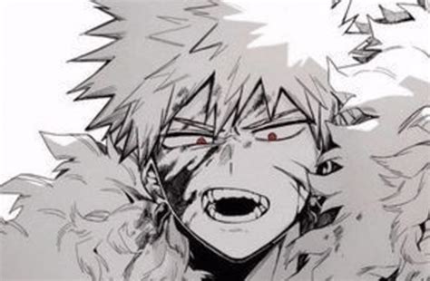 Bakugou Katsuki Doppleai