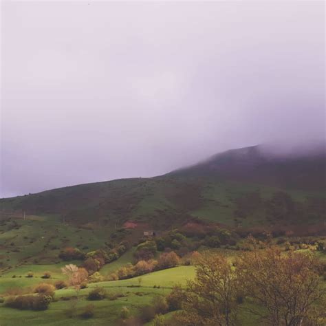 ‎سپیده نصیری‎ Sewpiid • Instagram Photos And Videos