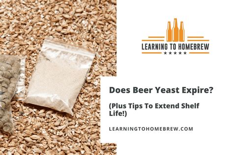 Does Beer Yeast Expire Plus Tips To Extend Shelf Life