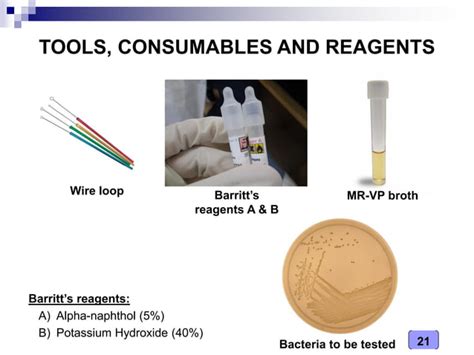 Medical Microbiology Laboratory Biochemical Tests Iii Ppt