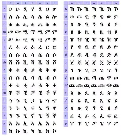 Ethiopian Alphabet How Many Letters Are In It Aemero Media