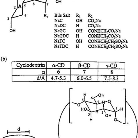 Schematic Structures Of A Bile Salts And B Cyclodextrins