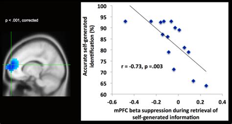 Brain Behavior Correlation During Retrieval Of Self Generated Download Scientific Diagram