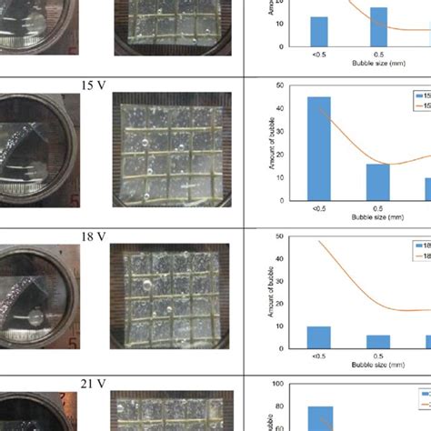 Bubble Gas Distribution On Anode And Cathode Electrode Surface
