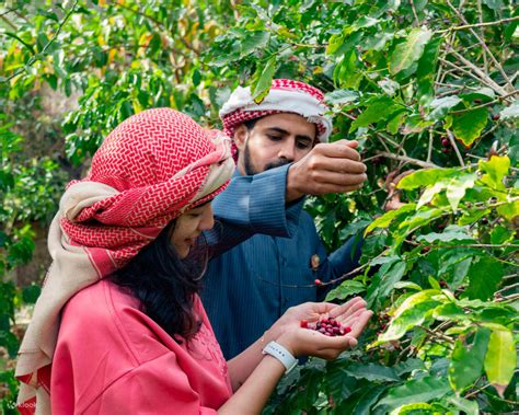 Hiking To Jabal Shada With Farm Experience Klook