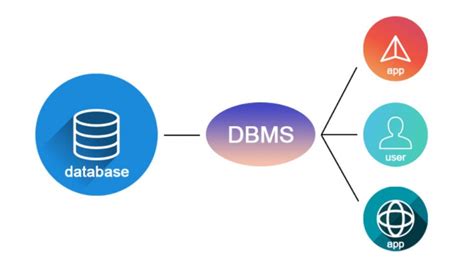 Apa Itu DBMS Pengertian Blog Articles Mark Design Jasa Pembuatan Website Surabaya Jakarta