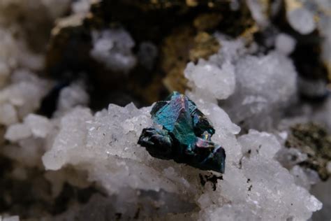 Chalcopyrite Bornite R Whatsthisrock