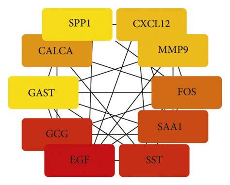 Identification Of Differentially Expressed Immune Related Mrnas A