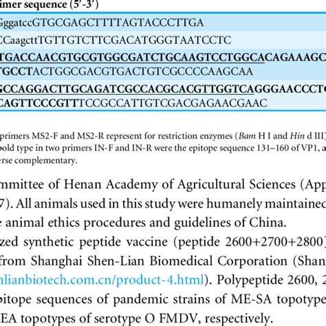 Schematic Drawing Of Constructing Process For Recombinant Plasmids A Download Scientific