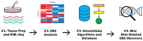 A Score Based Rapid Screening And Network Visualization Method Based On