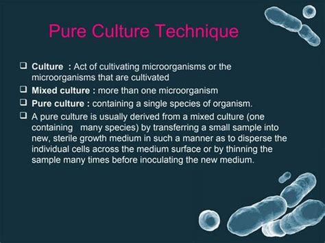 Microorganisms Cultivation Isolationpurification And Characterization