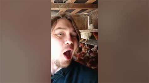 Pidiri Coccodè 🐓 Youtube