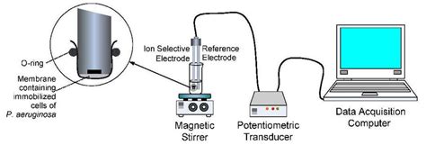 Experimental Setup For Potentiometric Biosensor Assays Download Scientific Diagram