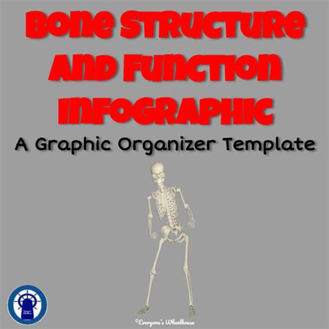 Printable Bone Research Project Template Anatomy Graphic Organizer
