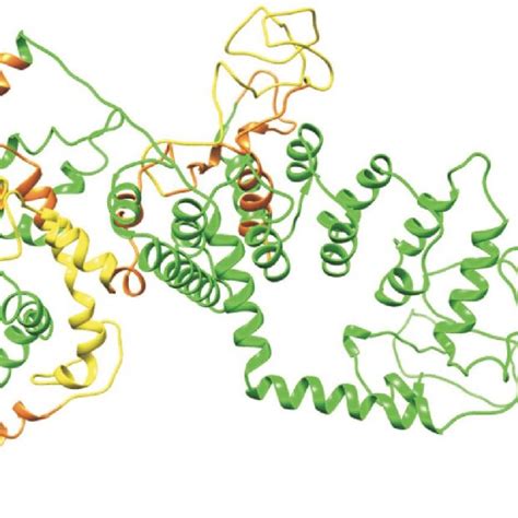 3d Model Of Tmc2 Tmc2 Comprises Three Topological Features
