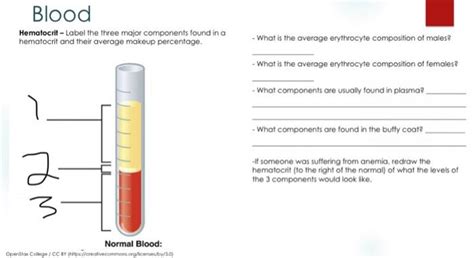 Hematocrit Label The Three Major Components Found