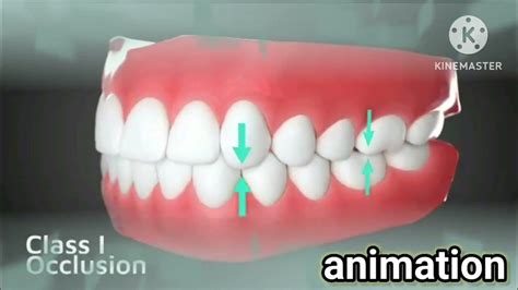 Angles Classification Animation Youtube