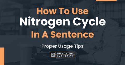 Use Nitrogen Cycle In A Sentence At Cynthia Jasmin Blog