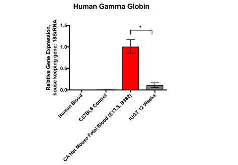 Real Time Pcr Of Human Gamma Globin Relative Gene Expression Showing