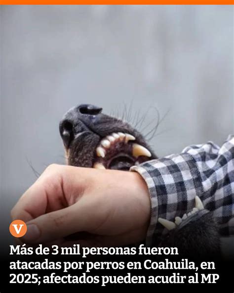 Vanguardia ⚠️luego De Un Caso Viral Entre Los Usuarios De Saltillo