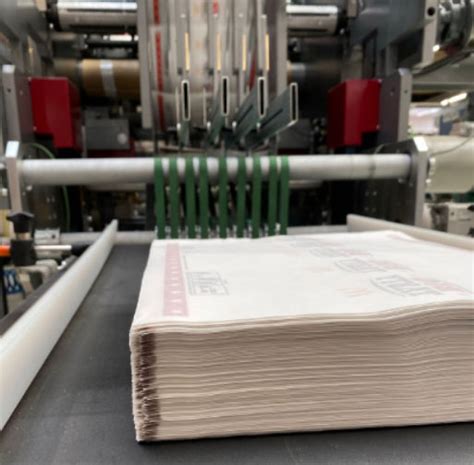 Paper Sheeter Short Run Ilamco For Food Industry Applications