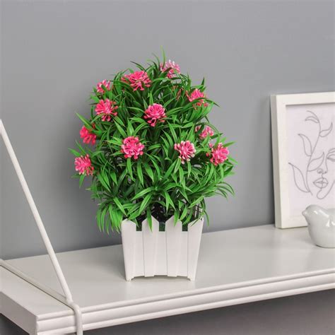 Бромелия — купить по низкой цене на Яндекс Маркете