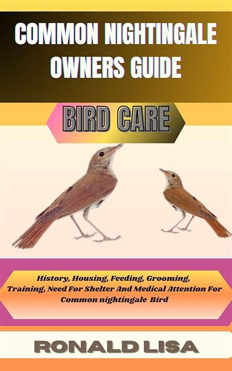 Nightingale Bird
