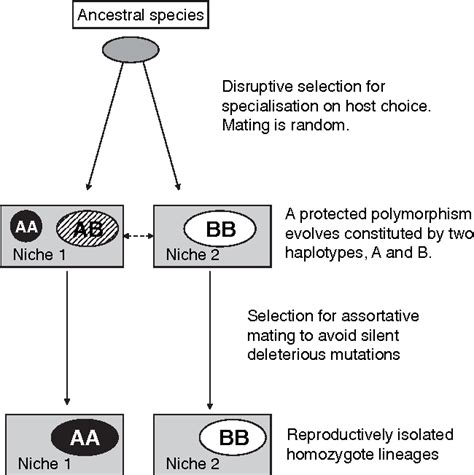 Figure 11 1 From Modelling Perception With Artificial Neural Networks