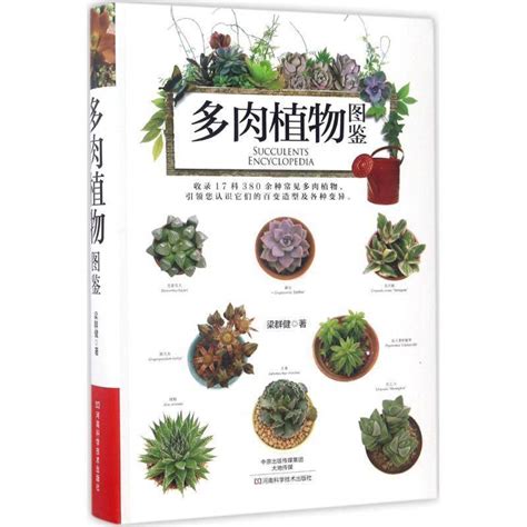 🌿多肉植物控必看！梁群健《多肉植物图鉴》带你解锁养肉新技能🌱 时尚图鉴 淘宝好物网