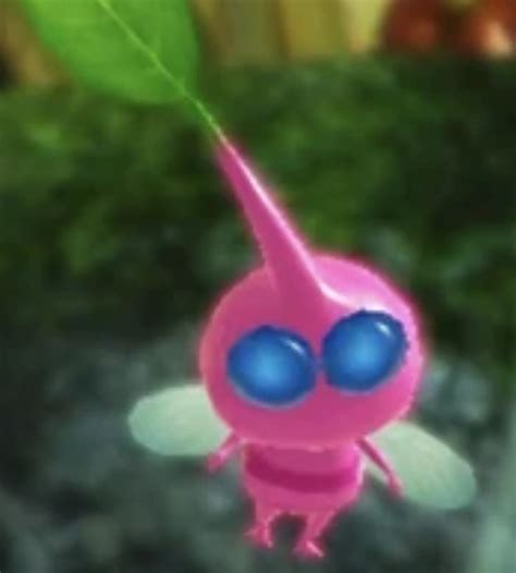 Winged Pikmin Pikminjake Wiki Fandom