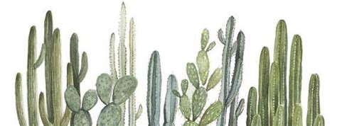 Barbara Danielss E Portfolio Welcome To My Page