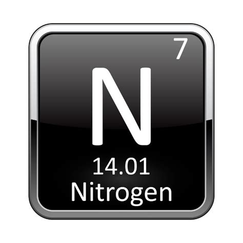 Understanding The Nitrogen Cycle Lets Talk Science