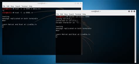Linux Hack Tool Netcat And Ncat
