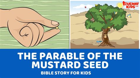 Mustard Seed Parable Summary Mustard Seed Parable Meaning Ajratw