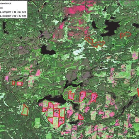 Highlighting Of The Regions Of Interest Roi Download Scientific Diagram