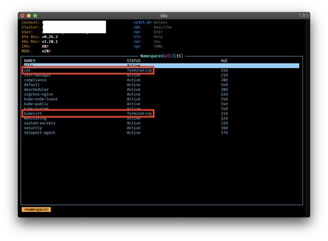 How To Remove A Stuck Namespace Quick博客