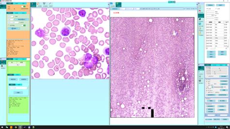 What Can Motorized Biological Fluorescent Microscope Do