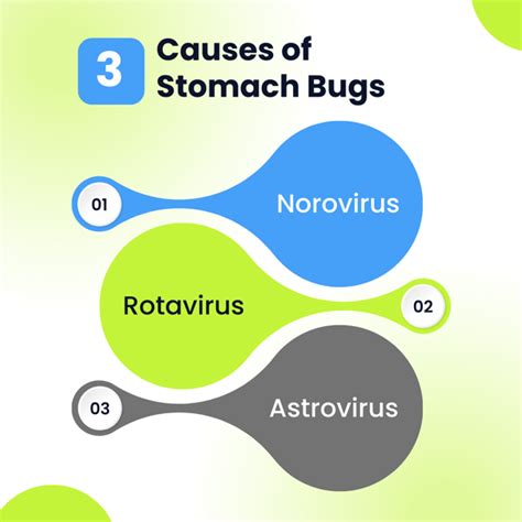 Food Poisoning Vs Stomach Bug Learn The Difference Gastro Doc
