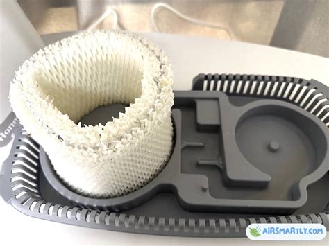 Air Purifier Vs Humidifier Finding The Perfect Solution For Your